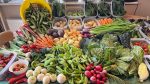 All year round vegetable sowing and planting guide – Steve's Seaside Life